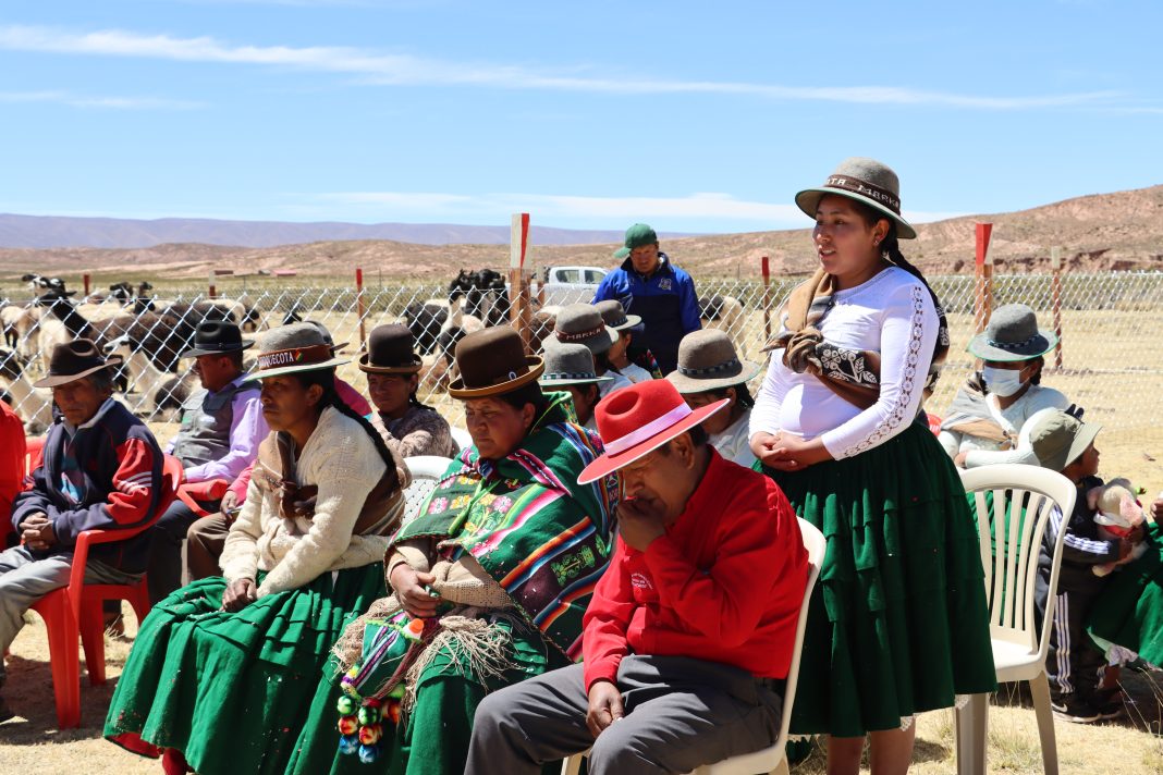 Pueblos indígenas logran reconocimiento mundial por su gestión ganadera ...