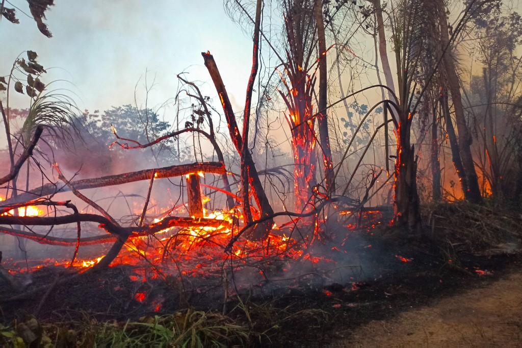 Incendios forestales en Bolivia: 38 focos activos amenazan a varios ...