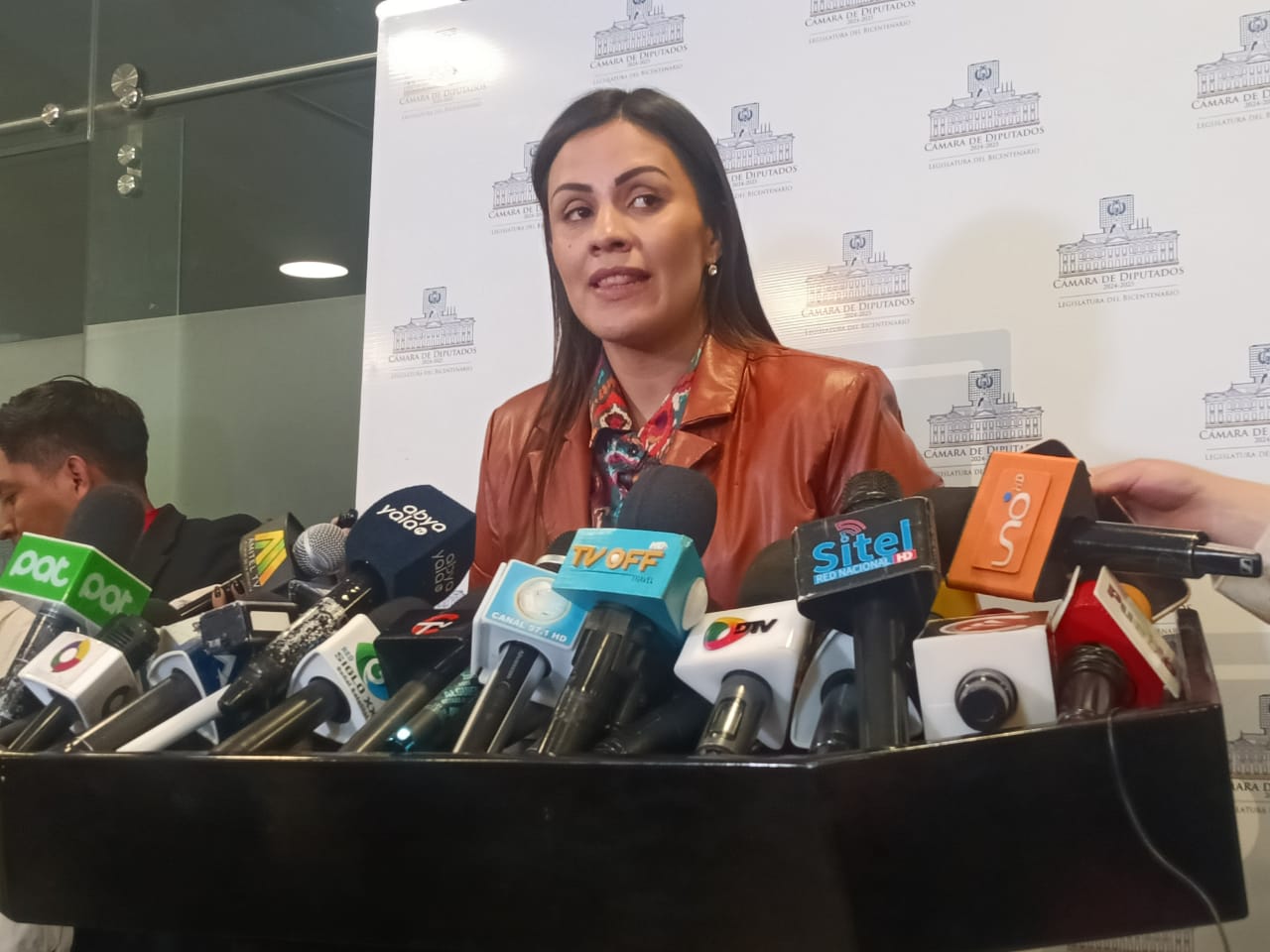 Diputada Álvarez denuncia “mafia ambiental” del MAS y exige inspección ...