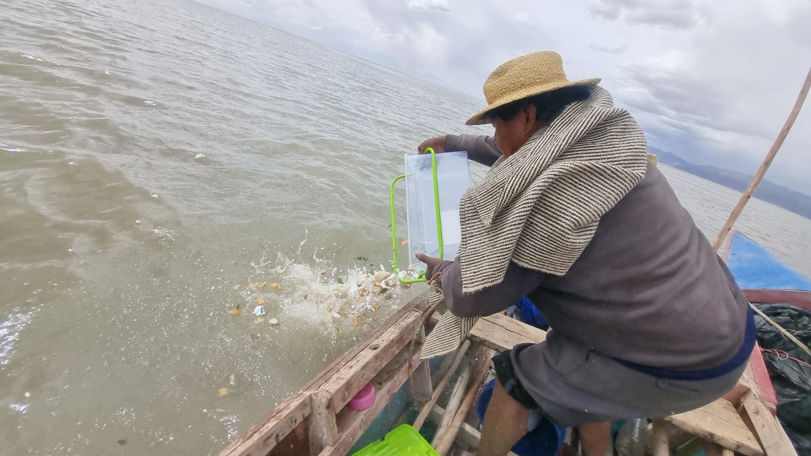 Los Urus del lago Poopó claman por agua - Periódico La Patria