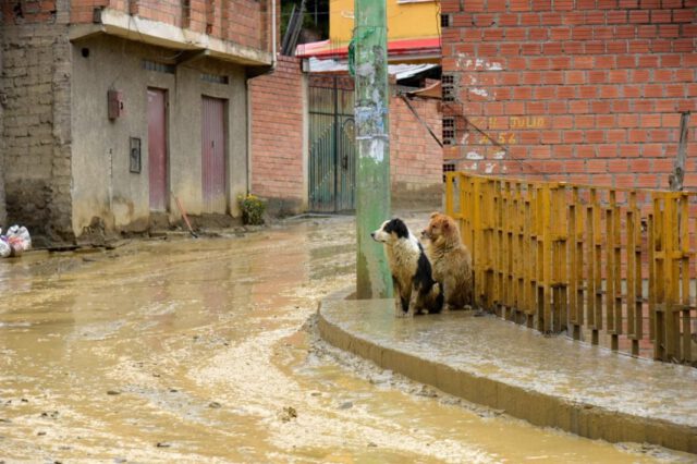 Más de 2.700 familias damnificadas por las lluvias e inundaciones en el ...