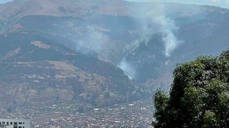 En Cochabamba, fuego afecta zona boscosa del Parque Nacional Tunari ...