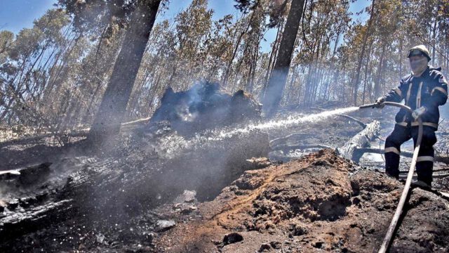 Incendio en el Tunari afecta tuberías y quema de sembradíos en seis ...