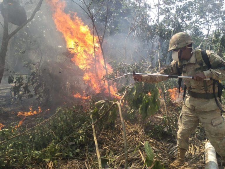 Extreman esfuerzos por controlar fuego en Pilón Lajas, hay unas 450 ...