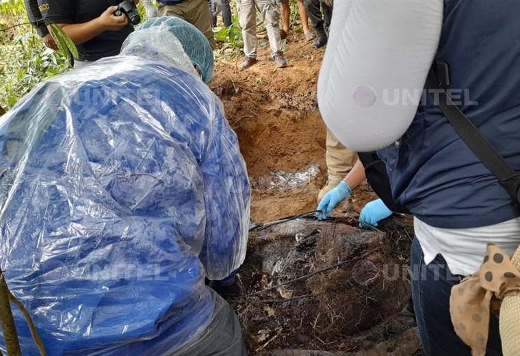 Fosa donde hallaron cuatro cadáveres en Villa Tunari se usaba como ...