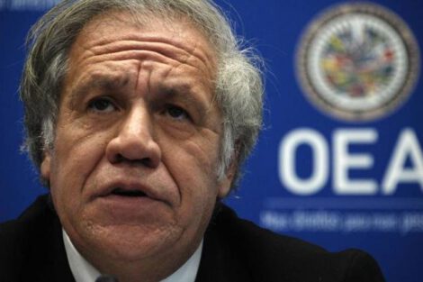 OEA apoya observaciones de HRW sobre procesos instaurados contra ...