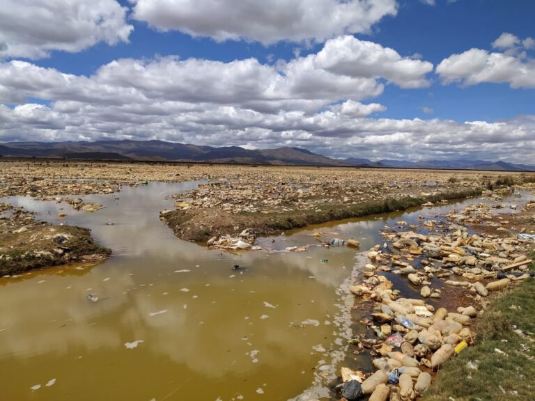 El Lago Uru-Uru se convierte en un “mar plástico” - La Patria 3.0 ...
