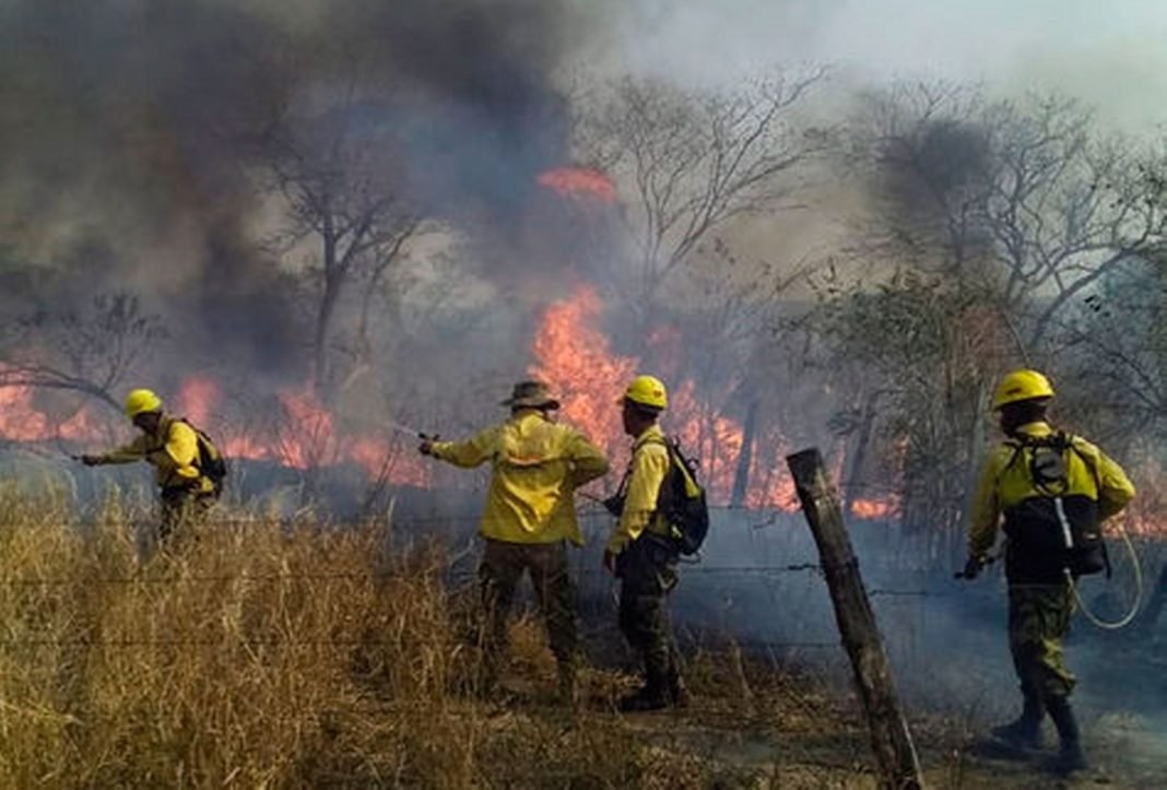Suben a 29 las emergencias forestales por incendios en Santa Cruz - La ...